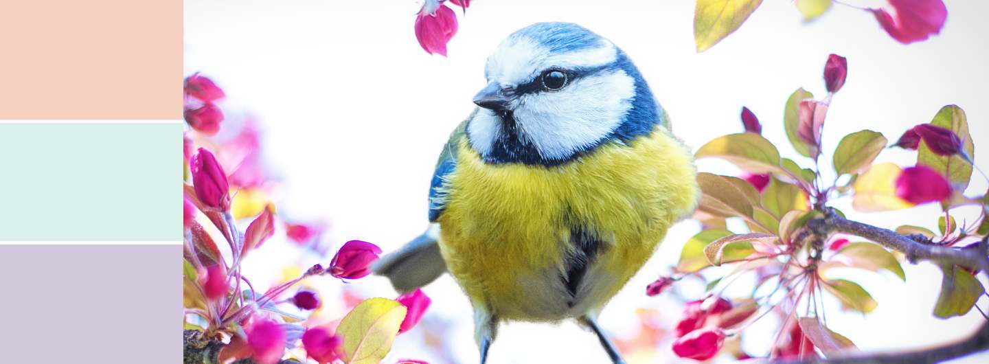 Les couleurs du printemps s’invitent chez Chromatic | La Maison Saint ...