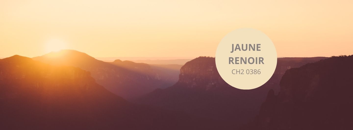 Le jaune Renoir : LA couleur Chromatic à adopter en 2024 ! | La Maison ...